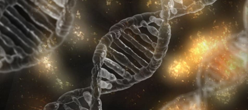 ¿Qué es el ADN y cómo funciona? – Salud y Medicina