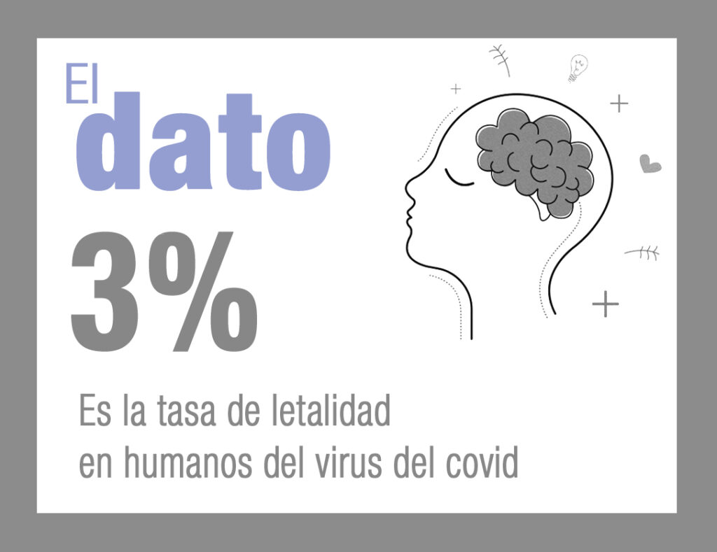 La postura bípeda y sus afecciones – Salud y Medicina